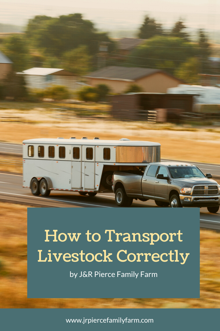Tips for Transporting Livestock — J&R Pierce Family Farm: Official Blog