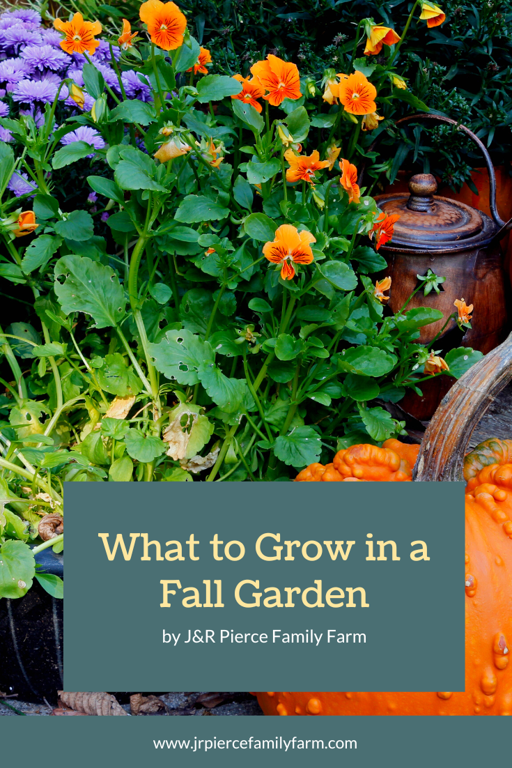 What to Plant in a Fall Garden — J&R Pierce Family Farm: Official Blog