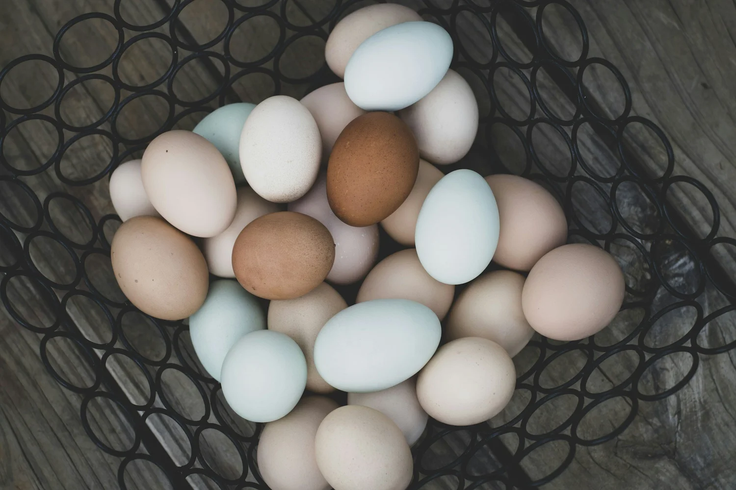 Why Do Chickens Lay Green Eggs? — J&R Pierce Family Farm