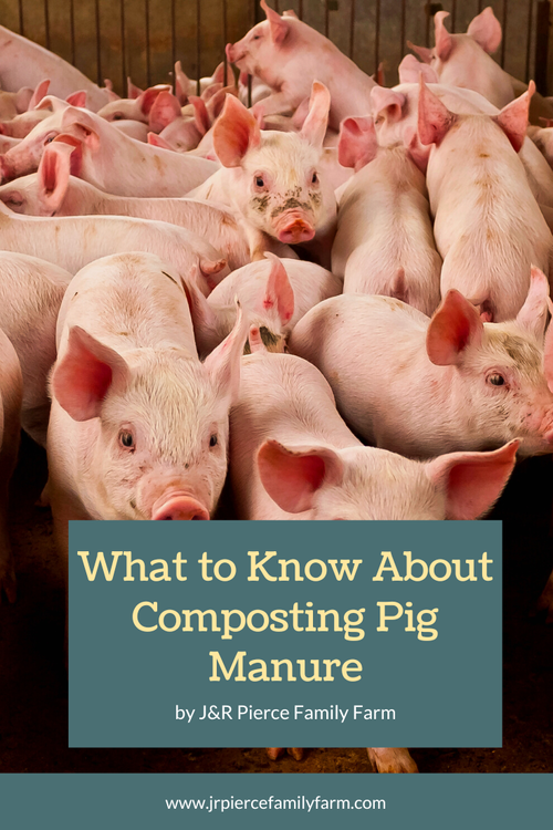 Can You Compost Pig Manure? — J&R Pierce Family Farm