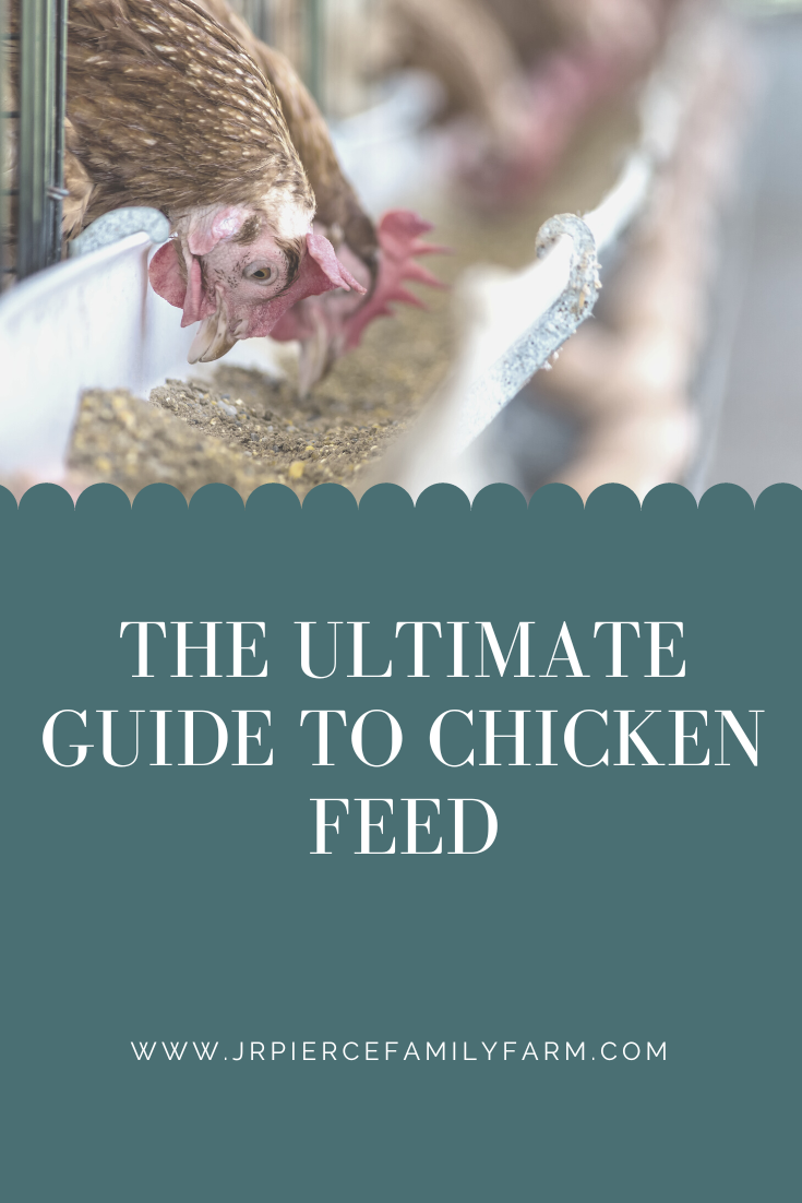 The 8 Best Chicken Feeds For Your Backyard Flock — J&R Pierce Family Farm