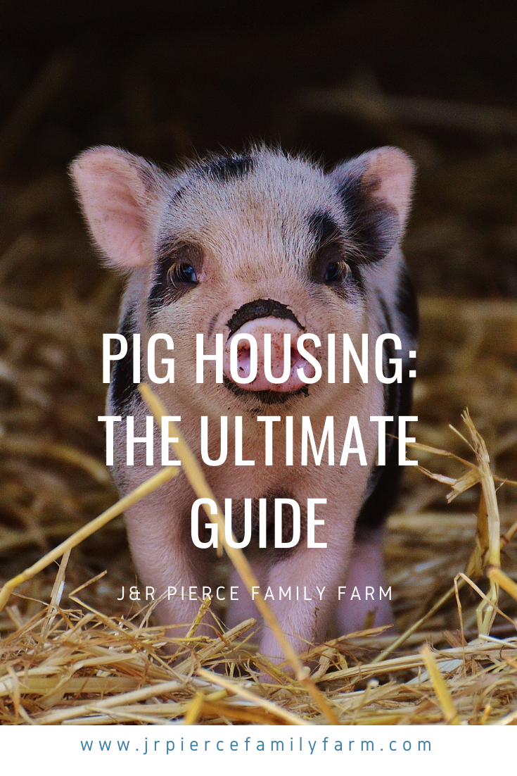 The Ultimate Guide to Pig Housing — J&R Pierce Family Farm