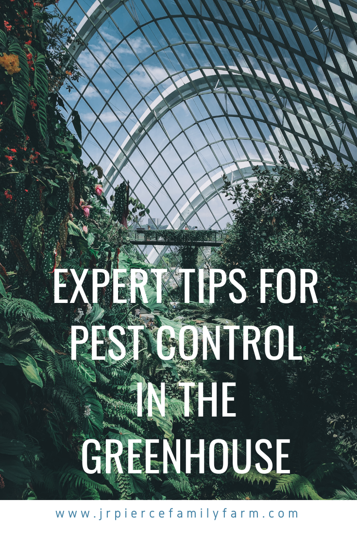 Expert Tips for Pest Control in the Greenhouse — J&R Pierce Family Farm ...