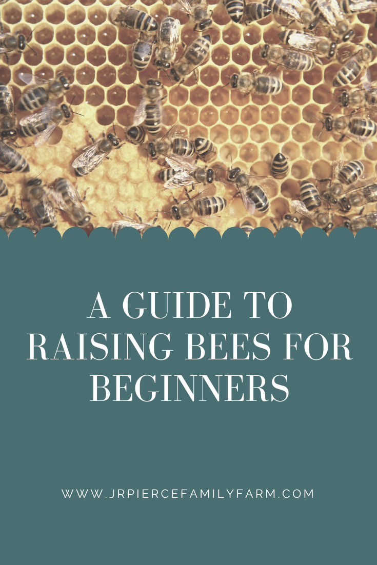 What is the Best Breed of Bees for Beginners? — J&R Pierce Family Farm