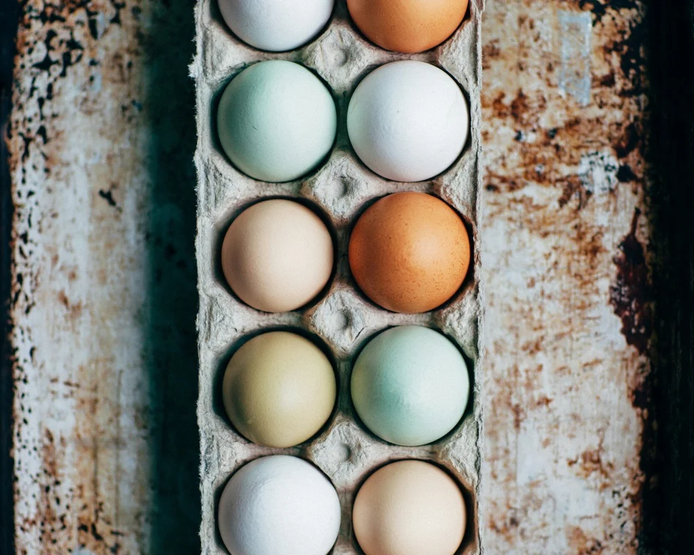 Why Do Chickens Lay Green Eggs? — J&R Pierce Family Farm