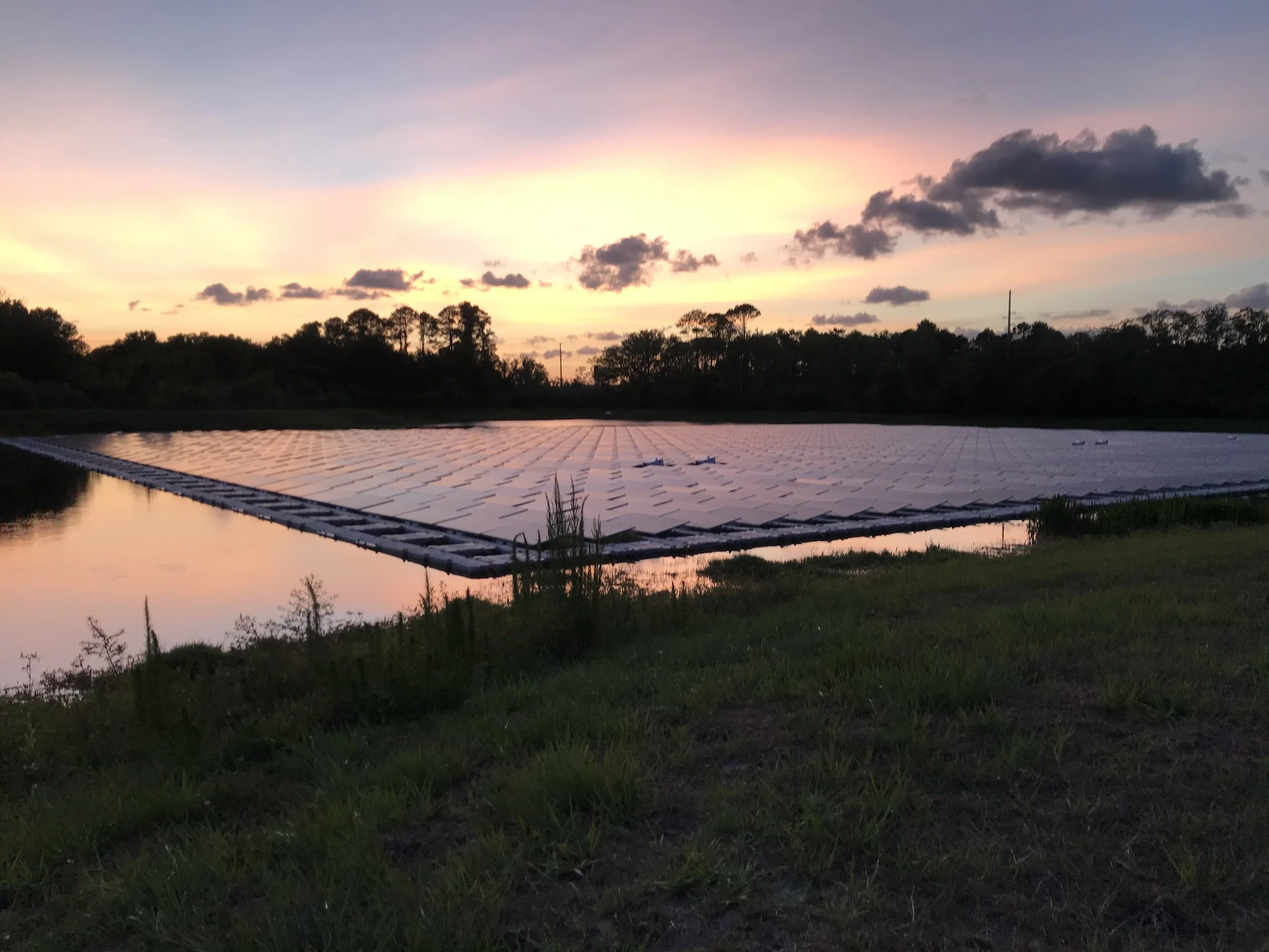 Global Ecology & Sustainability Lab