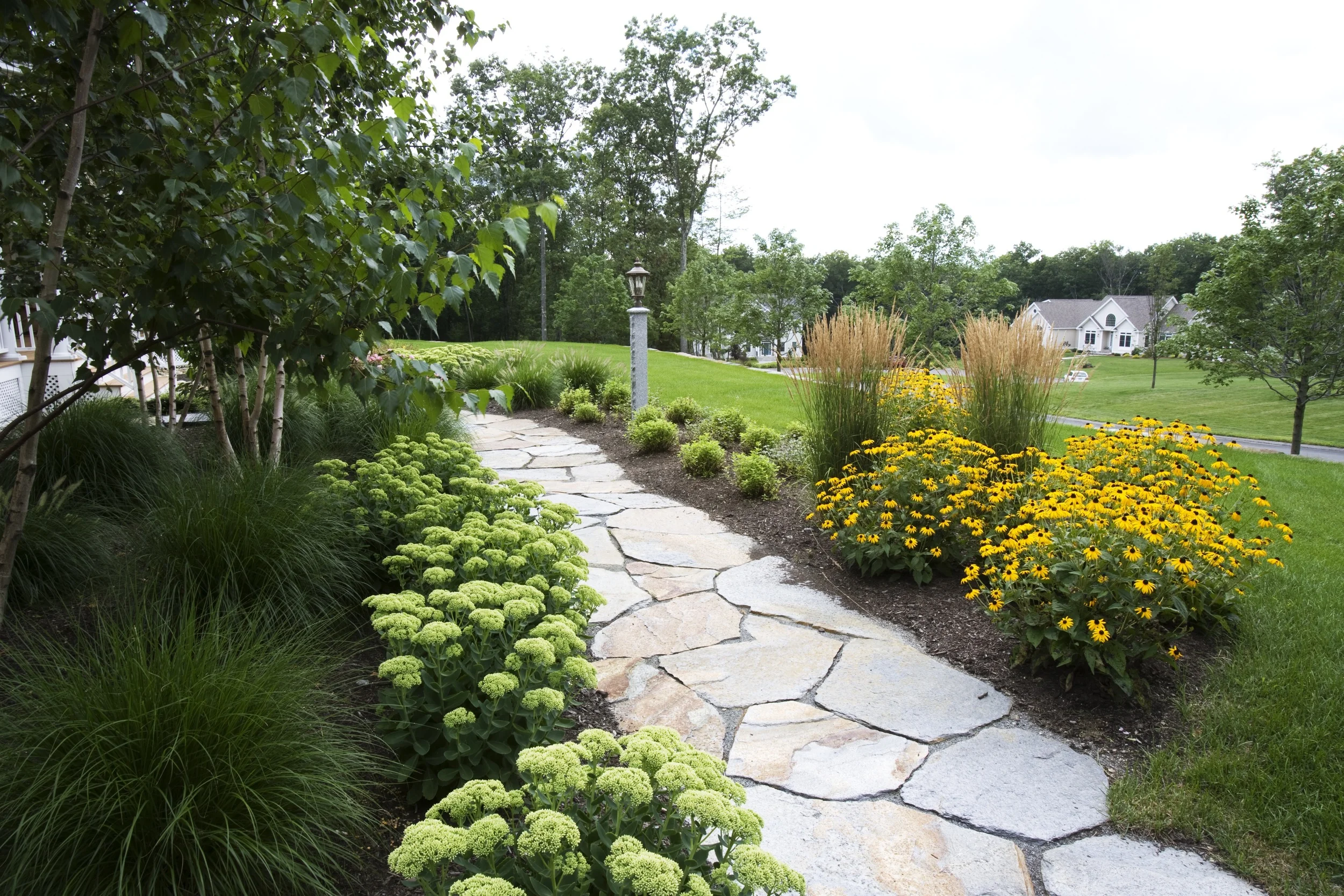 Suburban Garden Design | Parker Garden Design