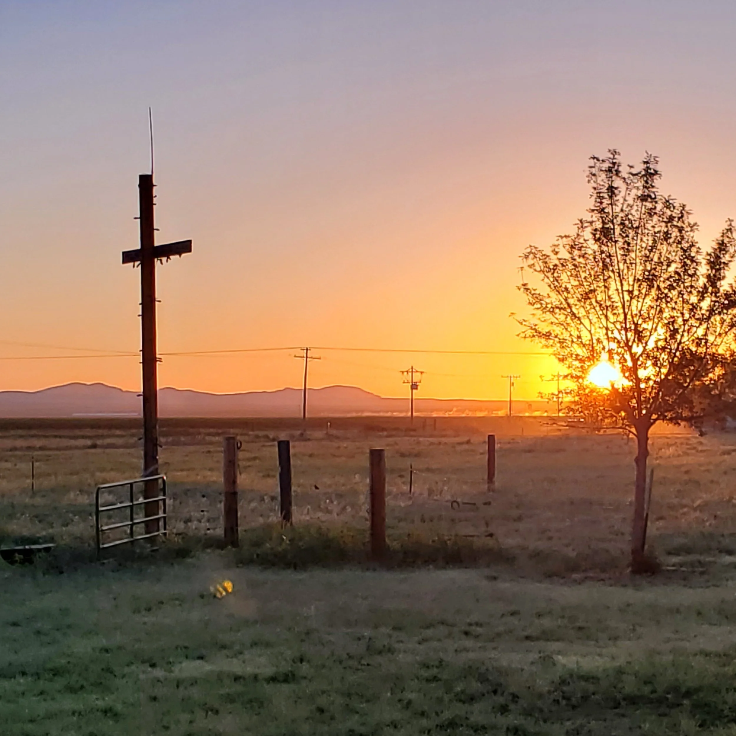 L&B Farm | Pastured Local Meats
