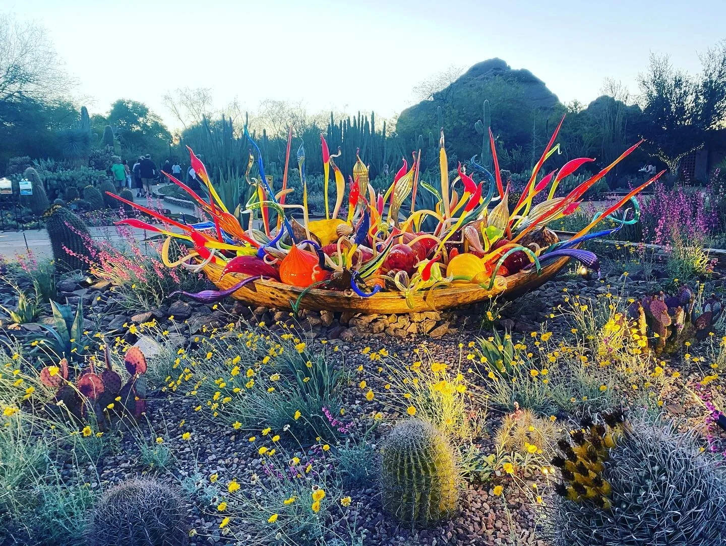 Stephanie Innes | Journalist