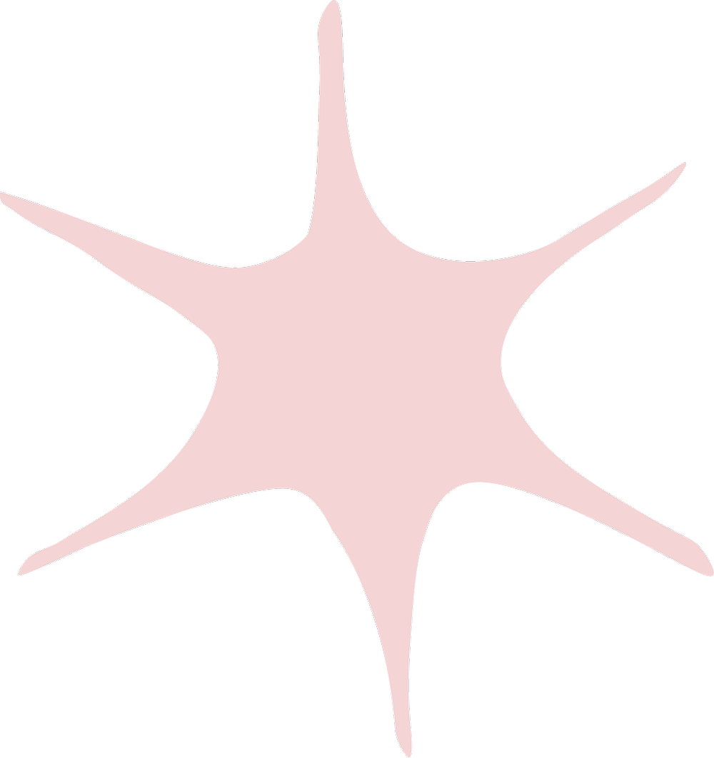 Our Sustainable Story — Katswalk