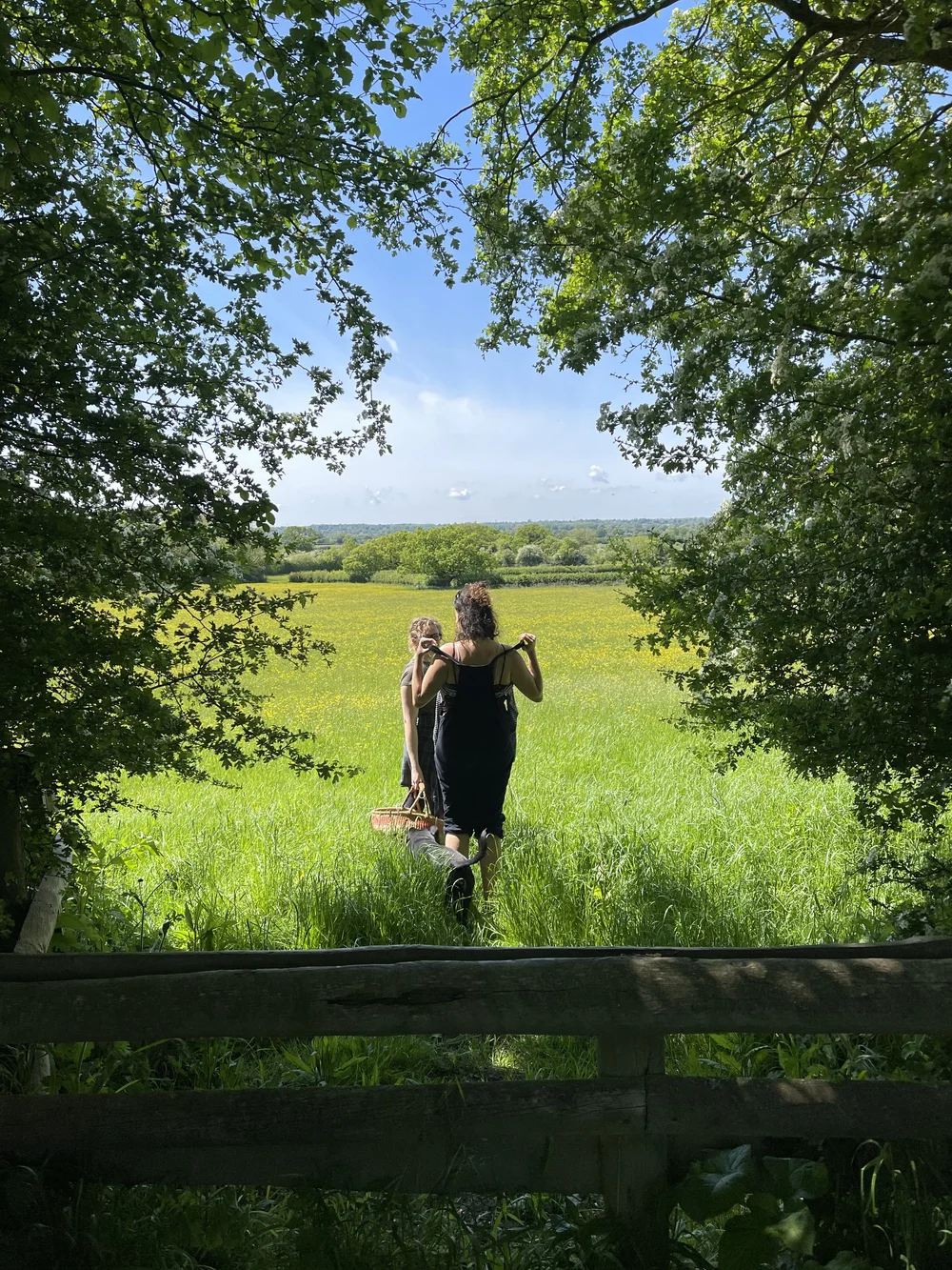 Workshops & Gatherings — Wildling Studio