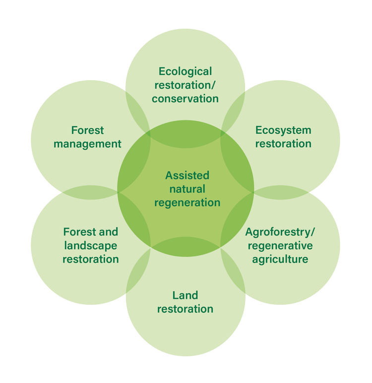 Assisted Natural Regeneration Alliance