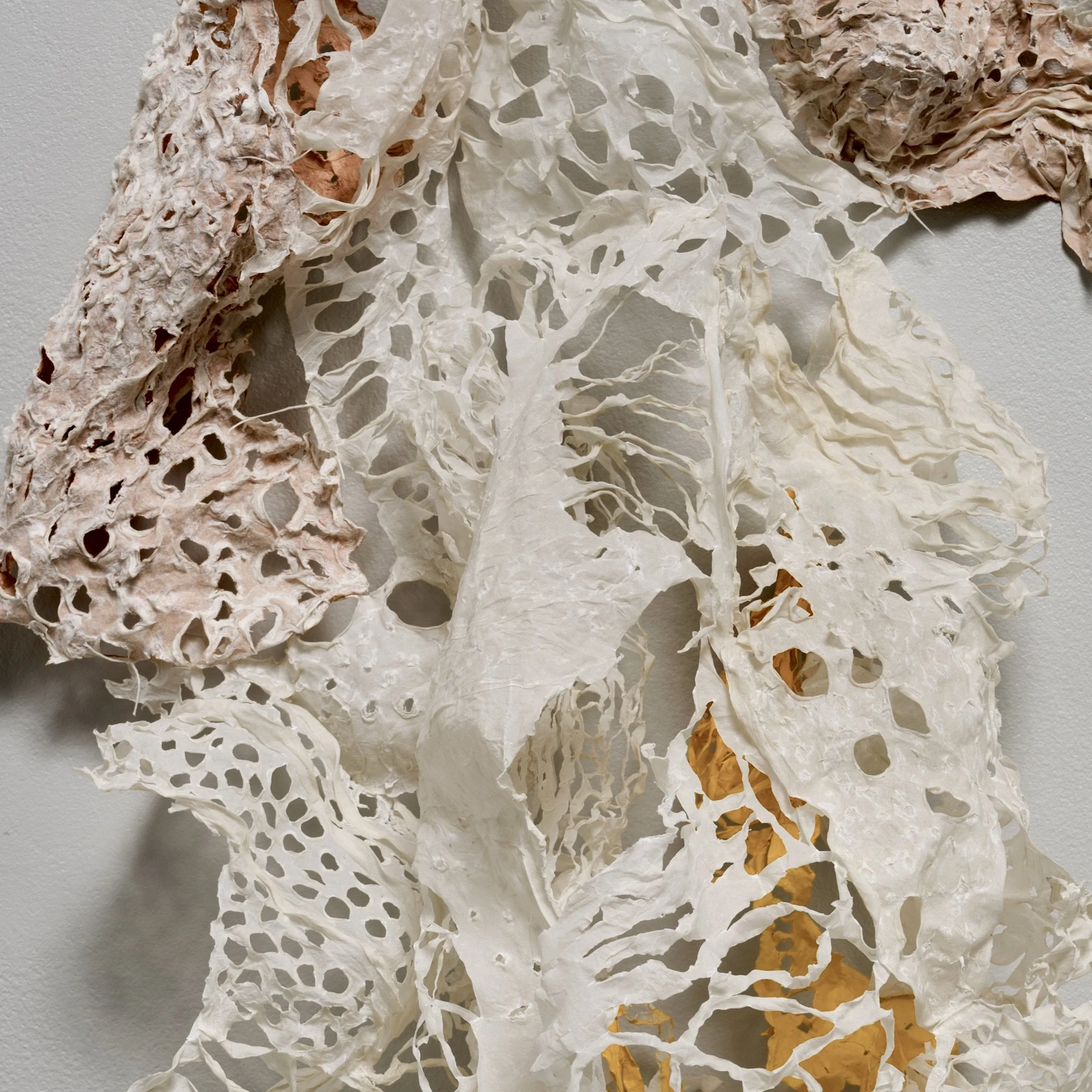 Marjorie Fedyszyn works in paper — Marjorie Fedyszyn