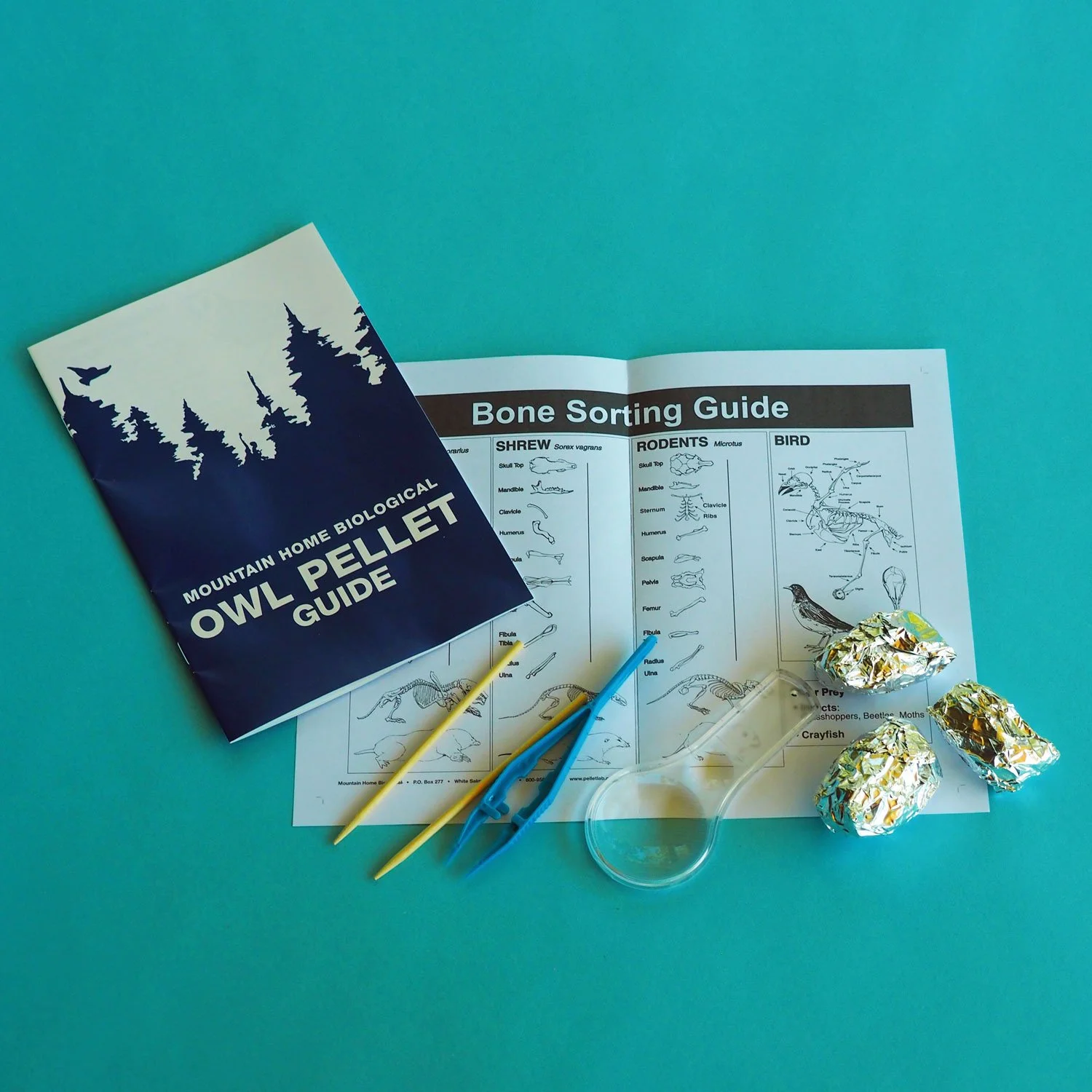Owl Pellets Lab Unit By Classroom Base Camp Barn Owl