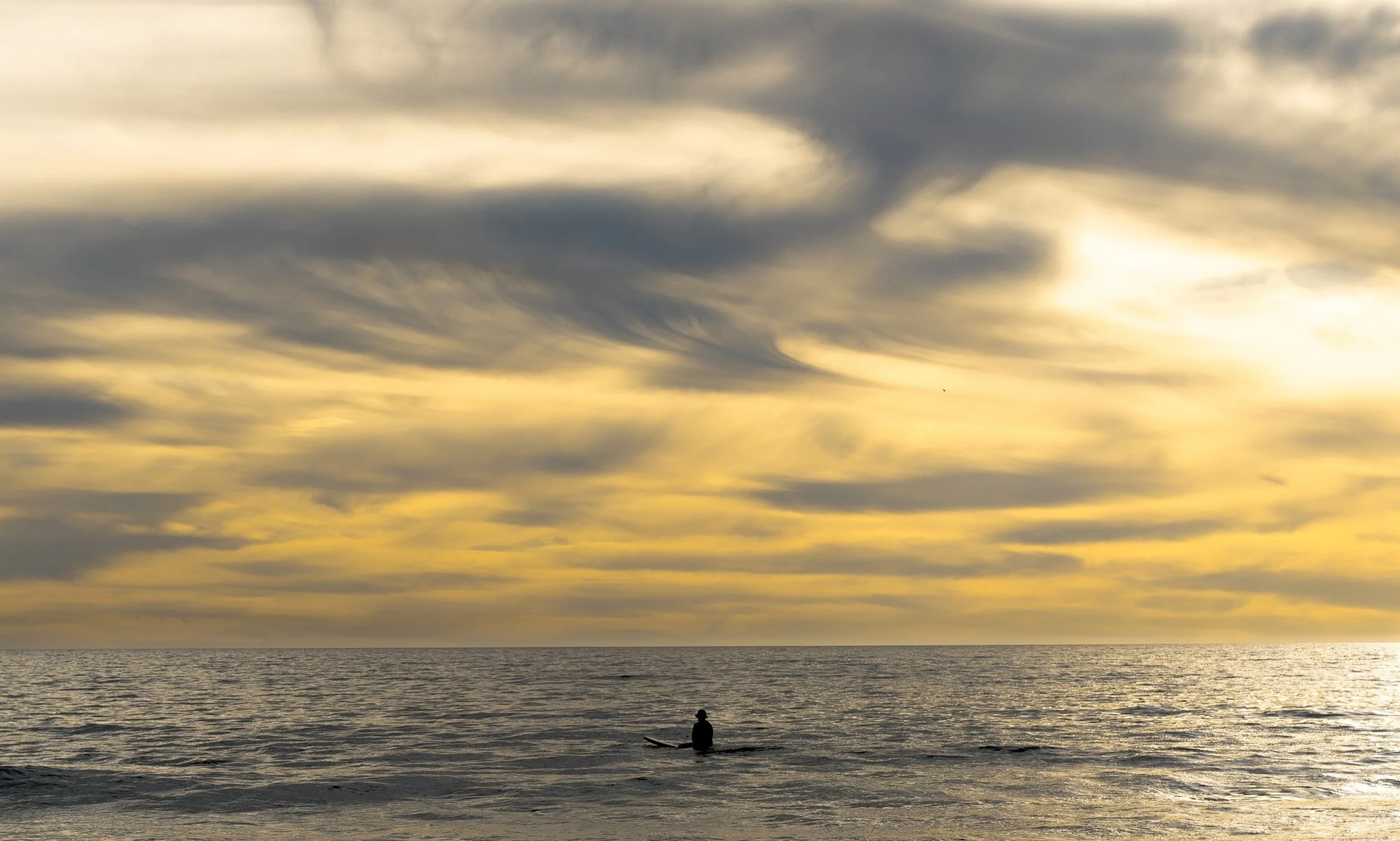 DAVID TSCHAN | DIGITAL CONTENT CREATOR