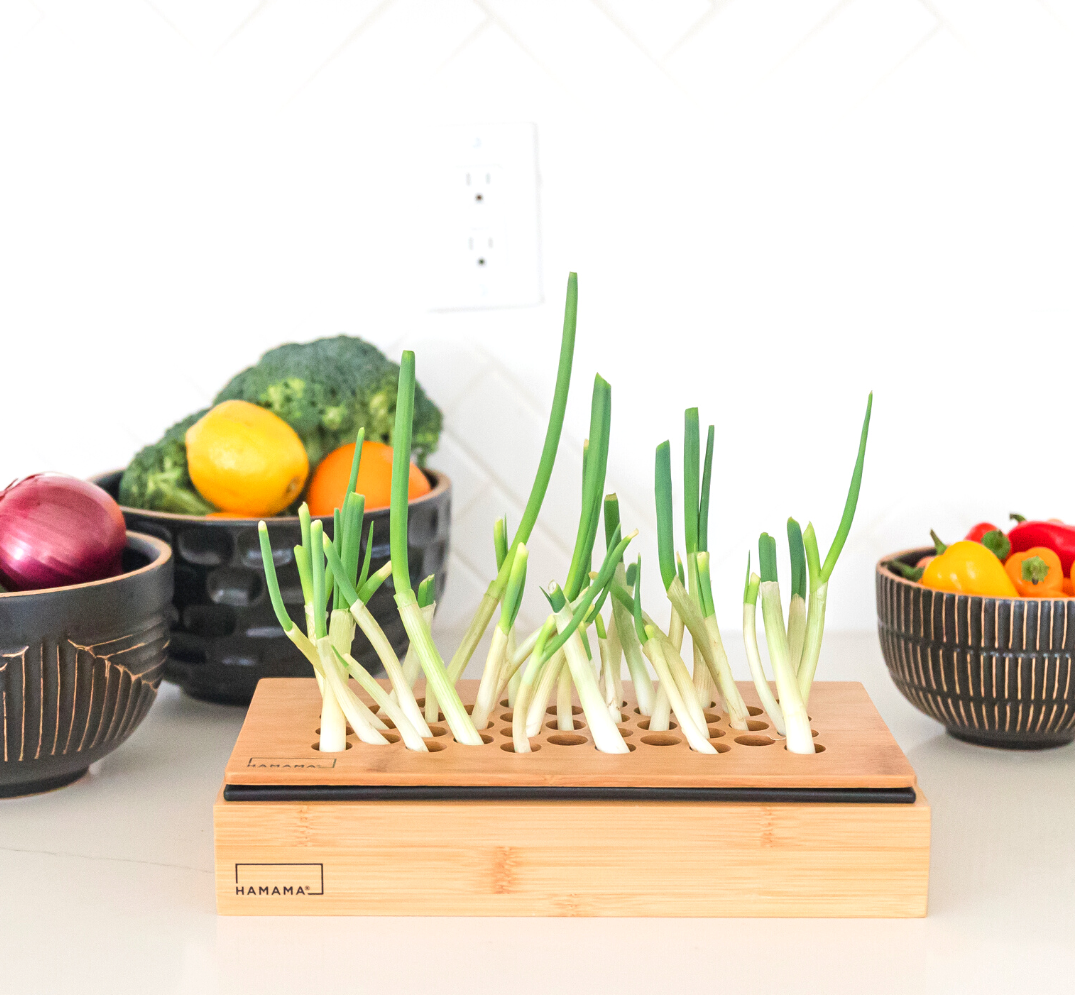 What are health benefits of Sprouts? — A Carrot a Day - Healthy Living Blog