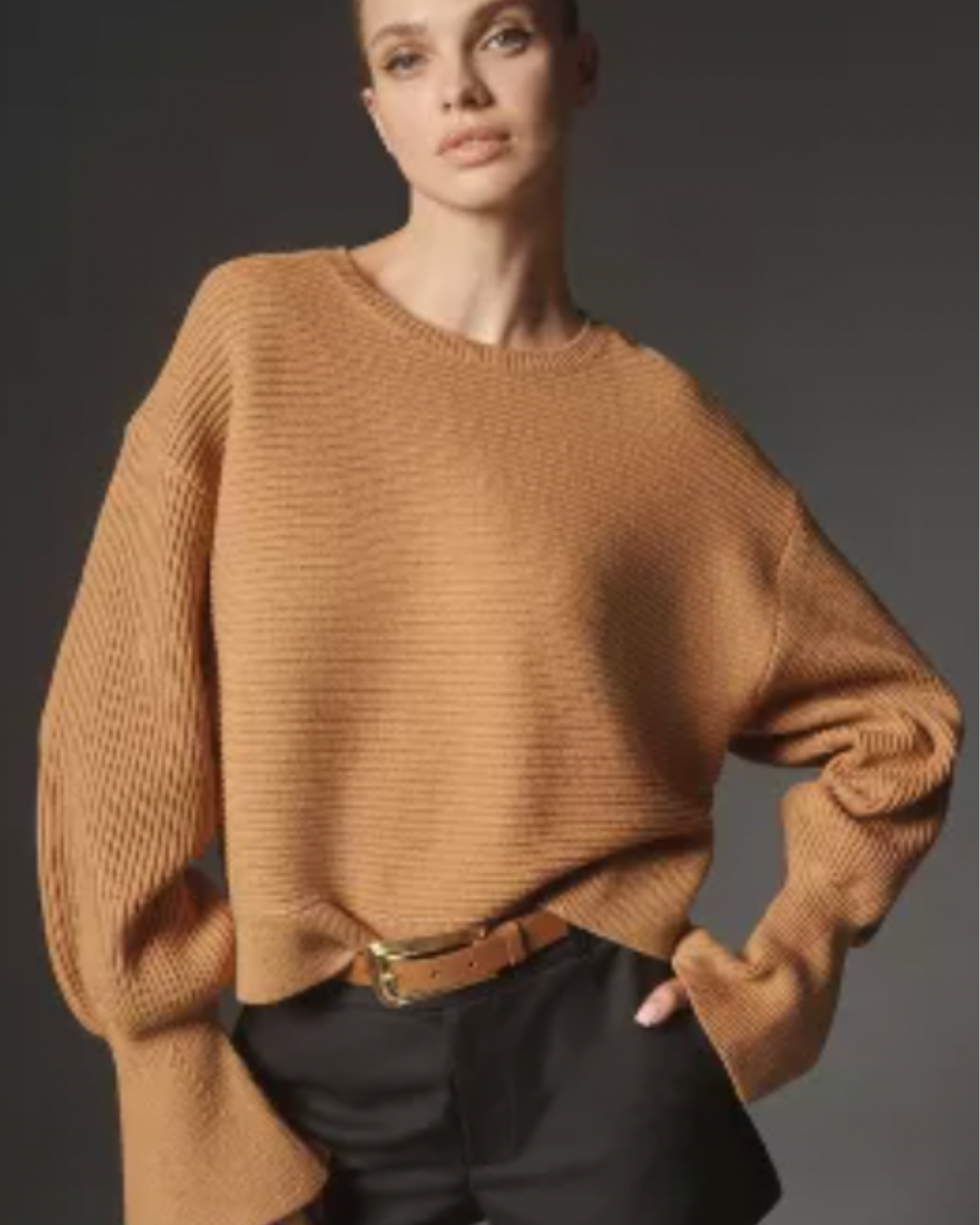 Colorbook: Shop by Your Color Season