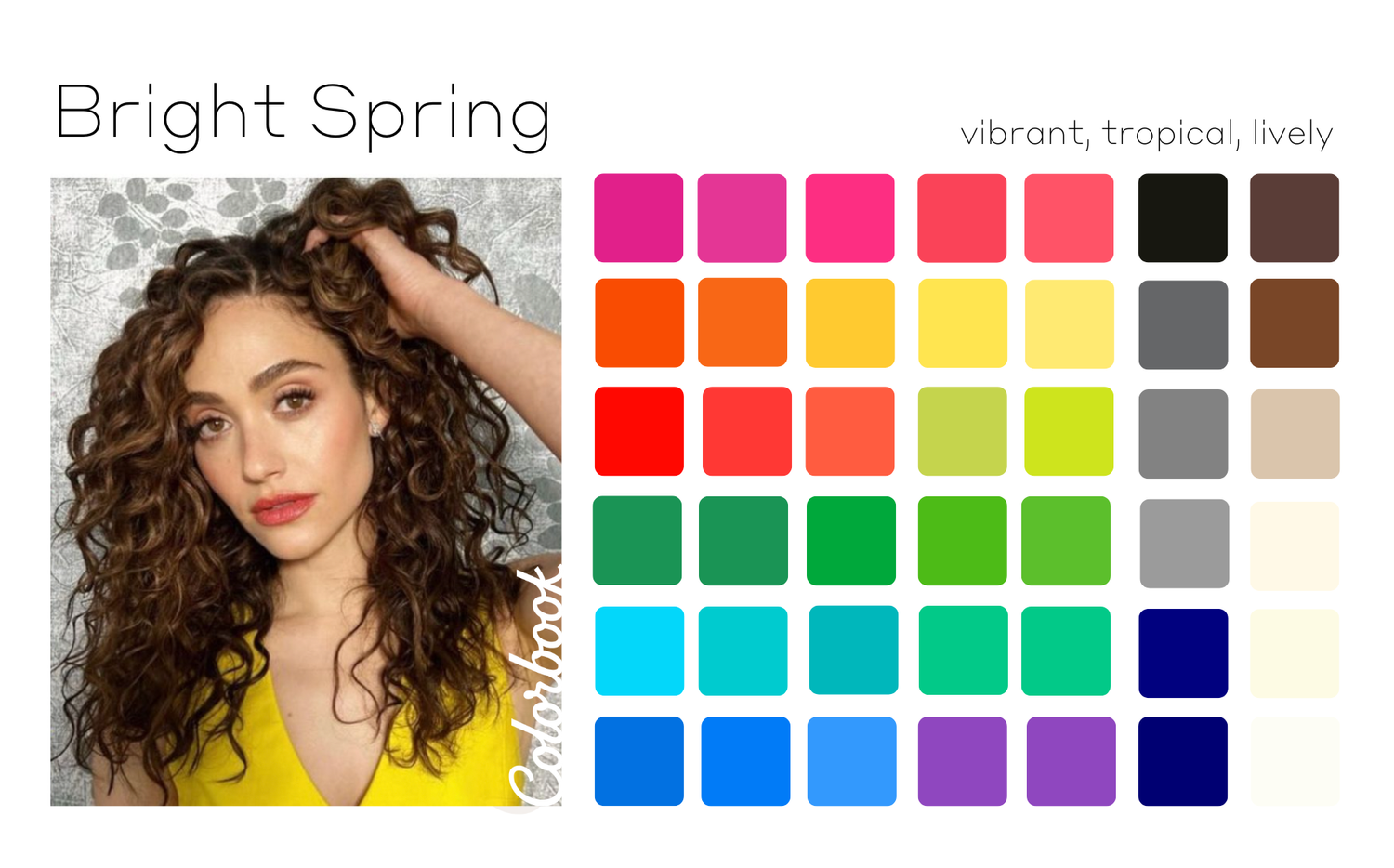 Colorbook: Shop by Your Color Season