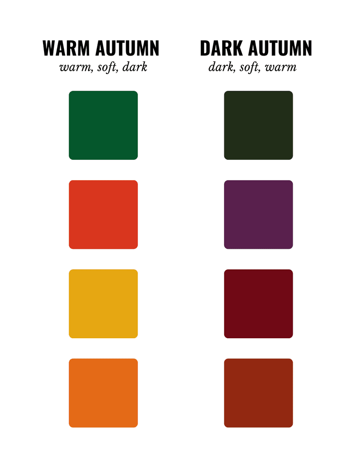 Colorbook: Shop by Your Color Season