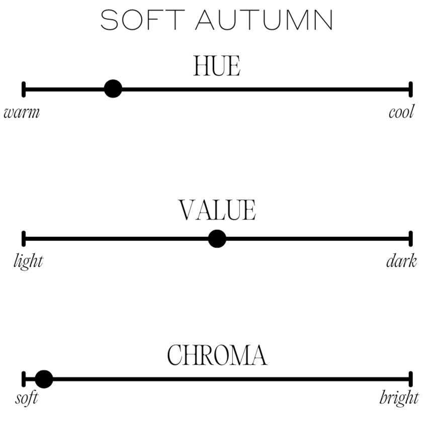 Colorbook: Shop by Your Color Season