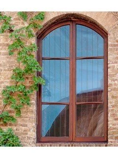 Preventing Bird Window Strikes — Bird Safe Nashville