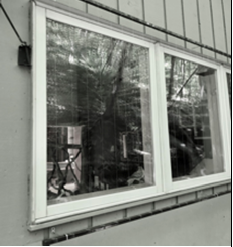 Preventing Bird Window Strikes — Bird Safe Nashville