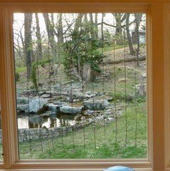 Preventing Bird Window Strikes — Bird Safe Nashville