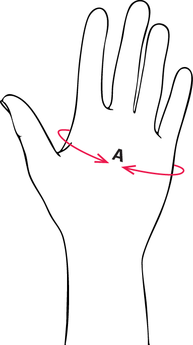 Size Guides | Find Your Perfect Fit