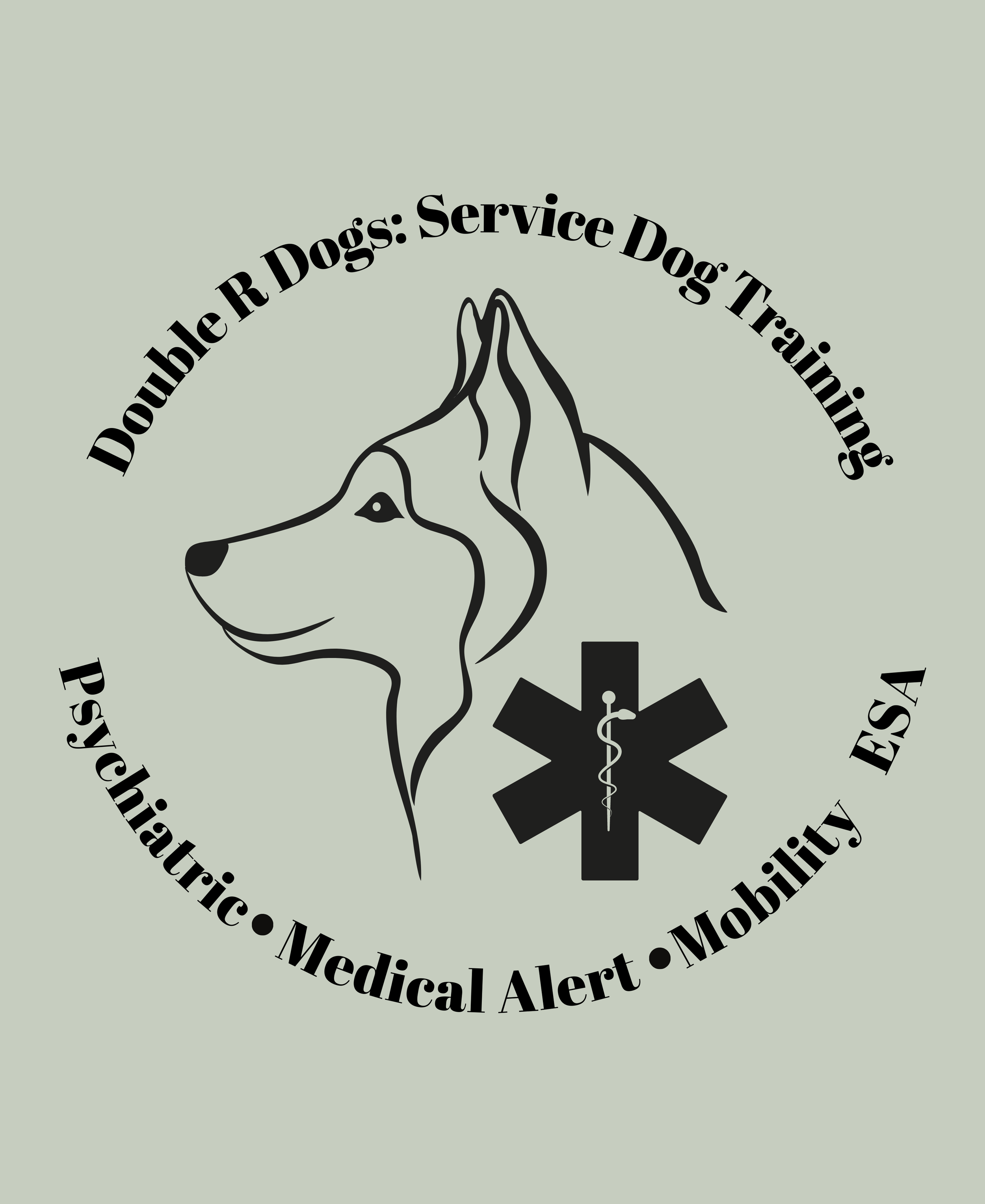 What Is R Dog Training