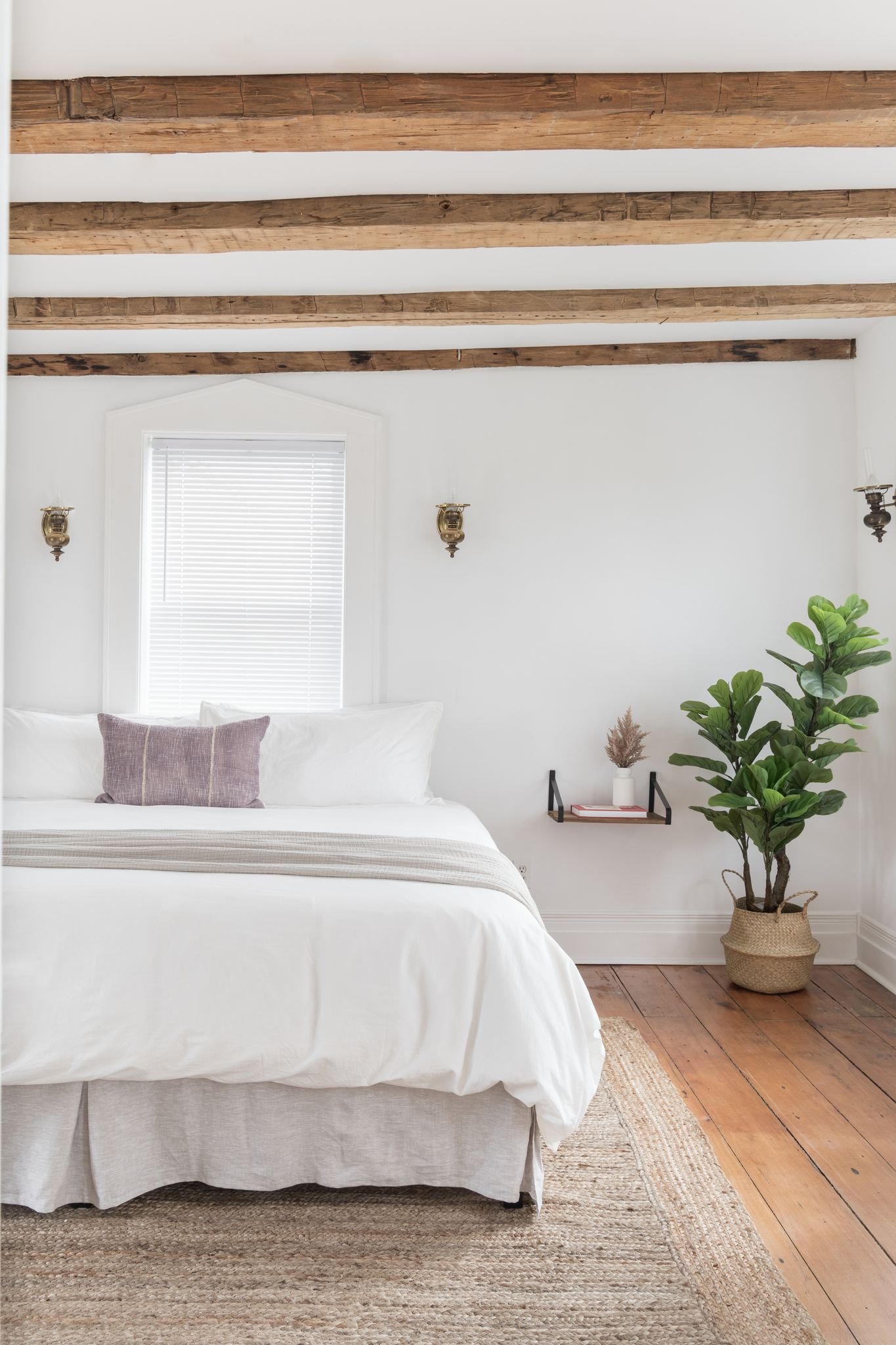 The Kelly — County Curated