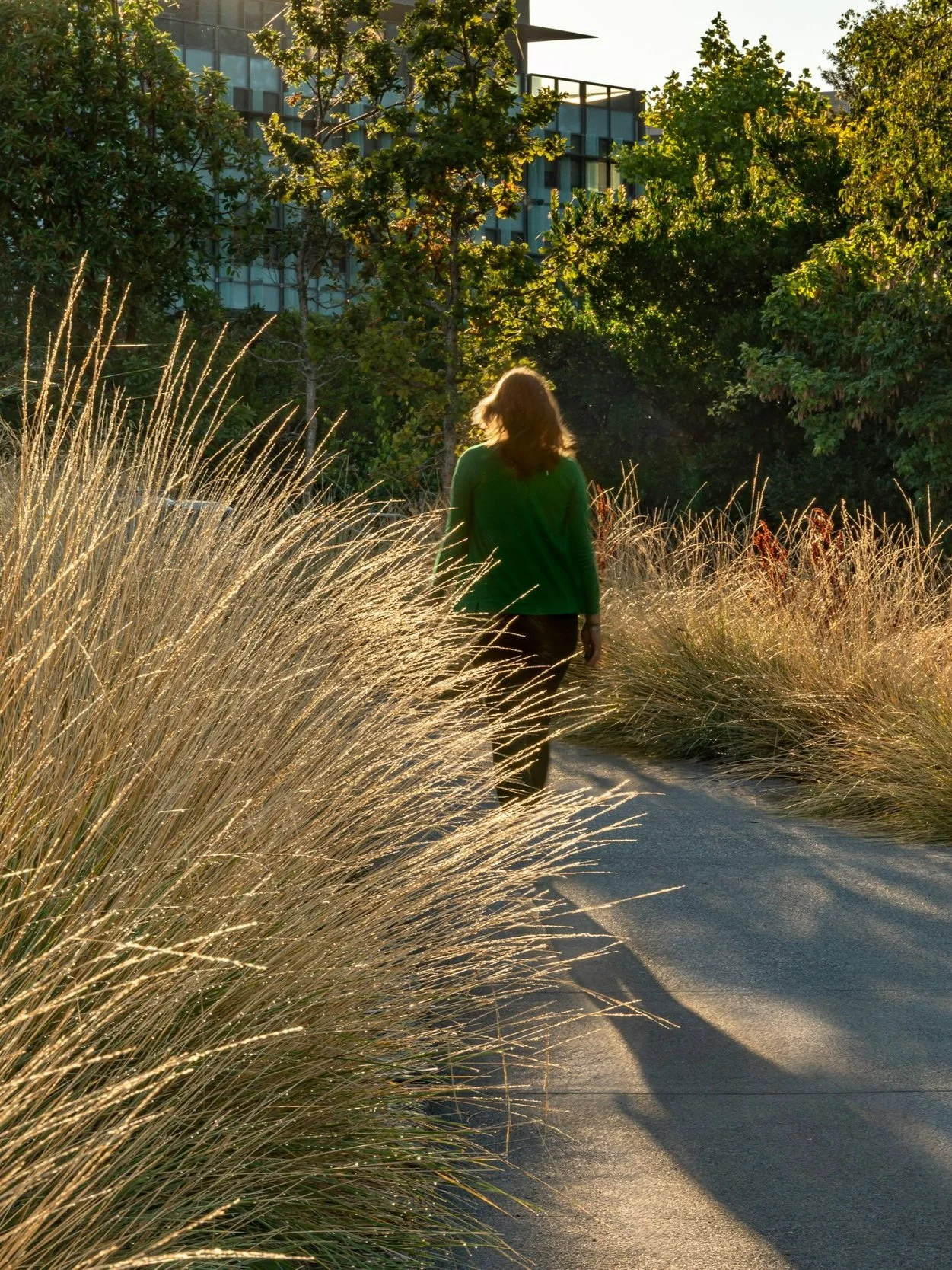 Understory Landscape Architecture