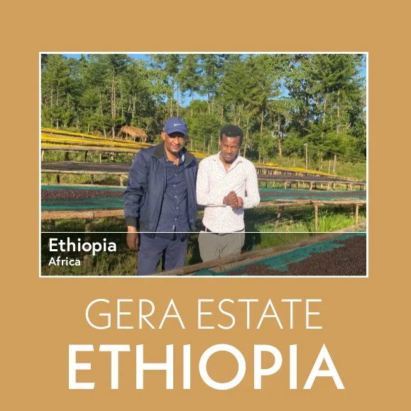 MEET THE FARMER | GERA ESTATE — Pioneer Coffee Roasters