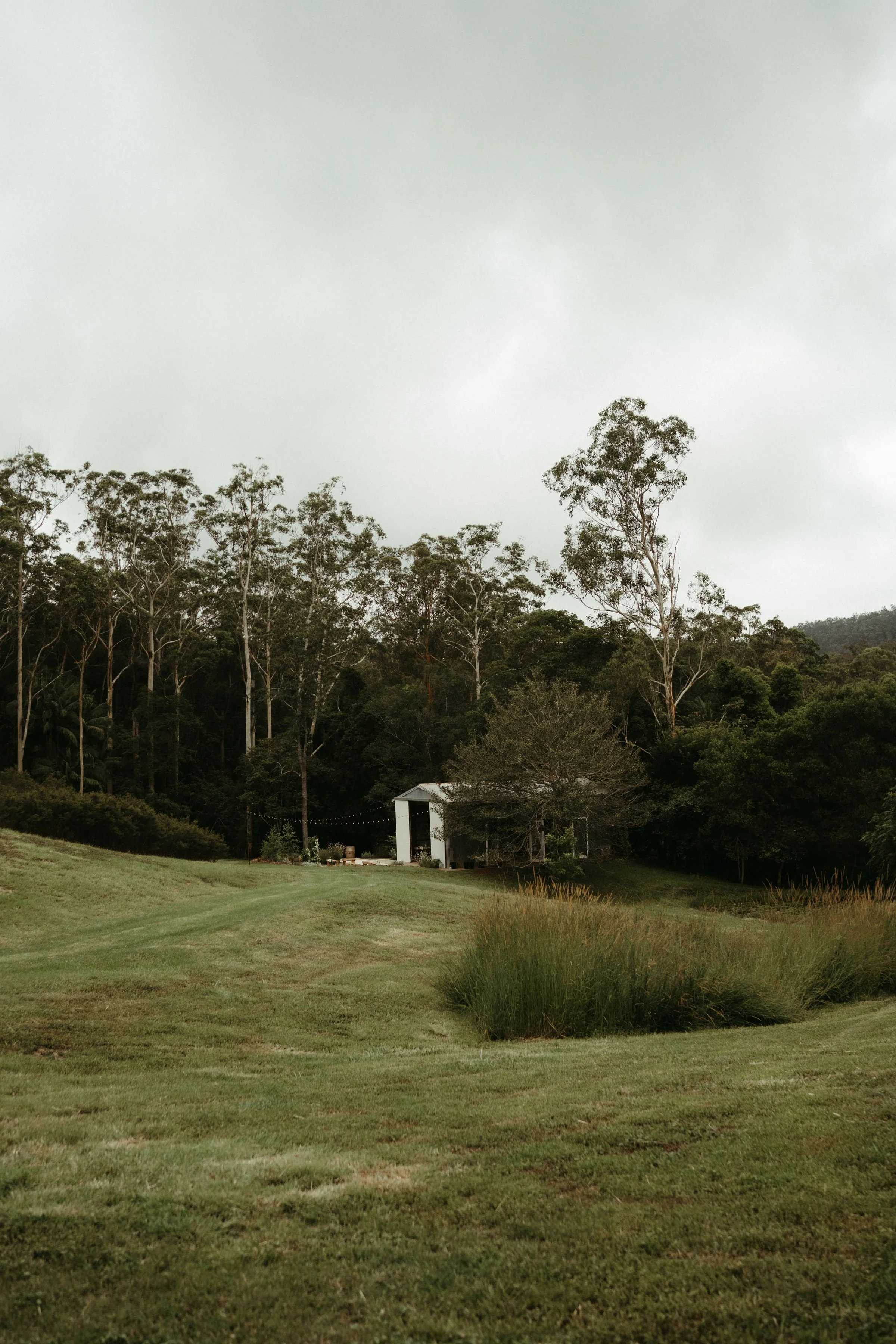 Welcome — Evergreen Studio