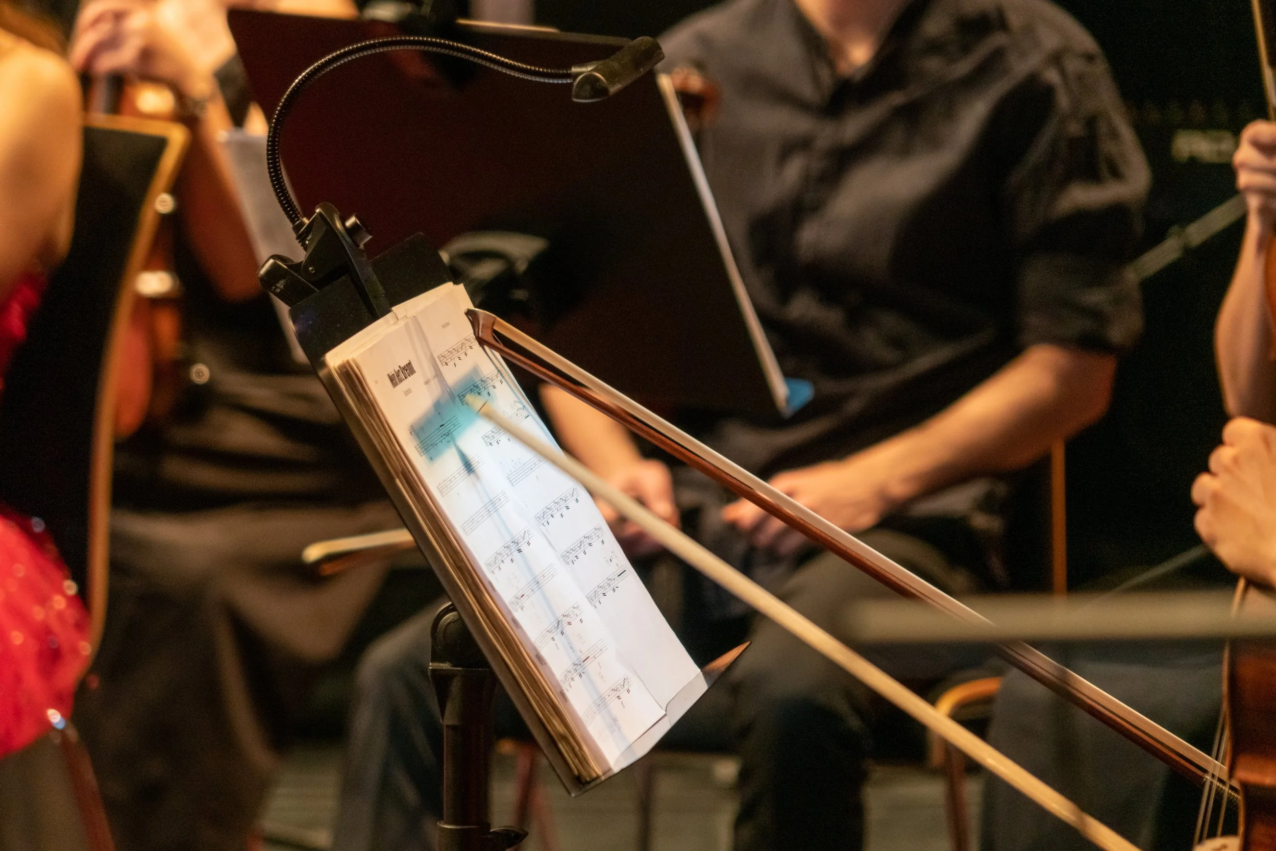 Members Info — Fremantle Symphony Orchestra