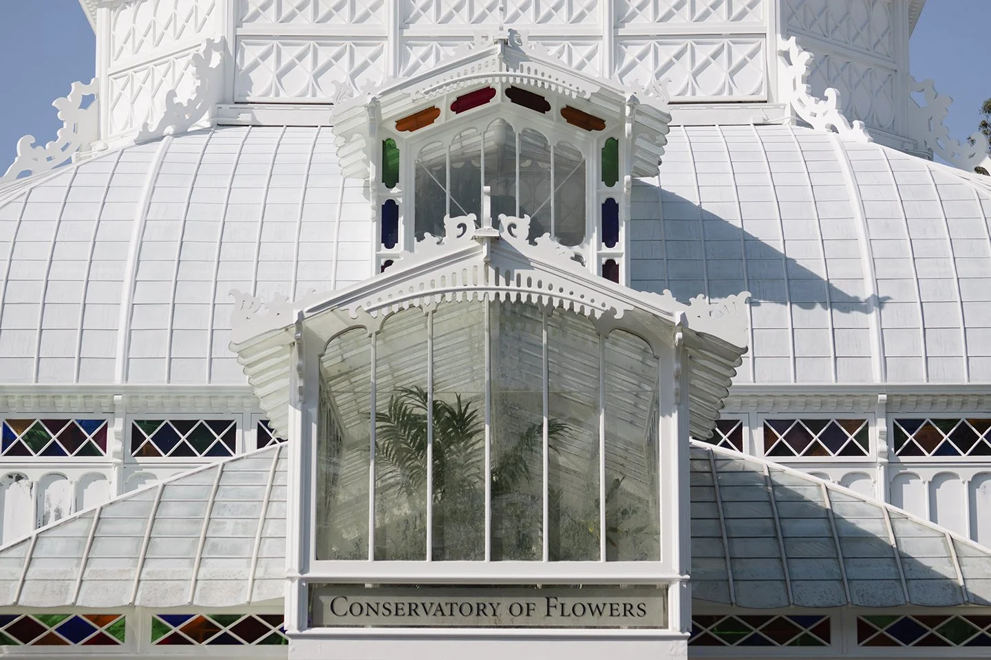 A Walk through the San Francisco Conservatory of Flowers — Print Club Ltd.