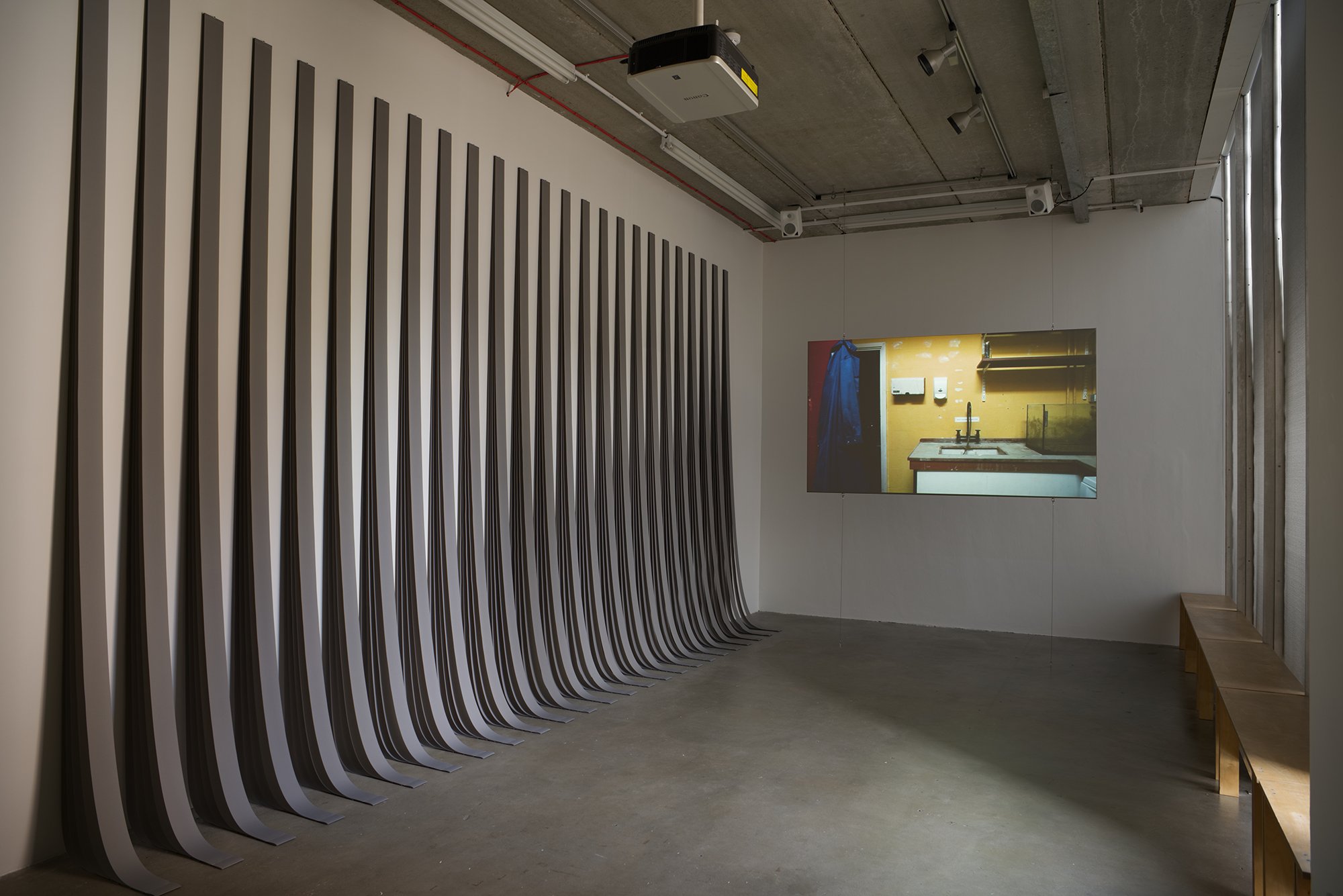 An Interview with Debra Welch — Print Club Ltd.