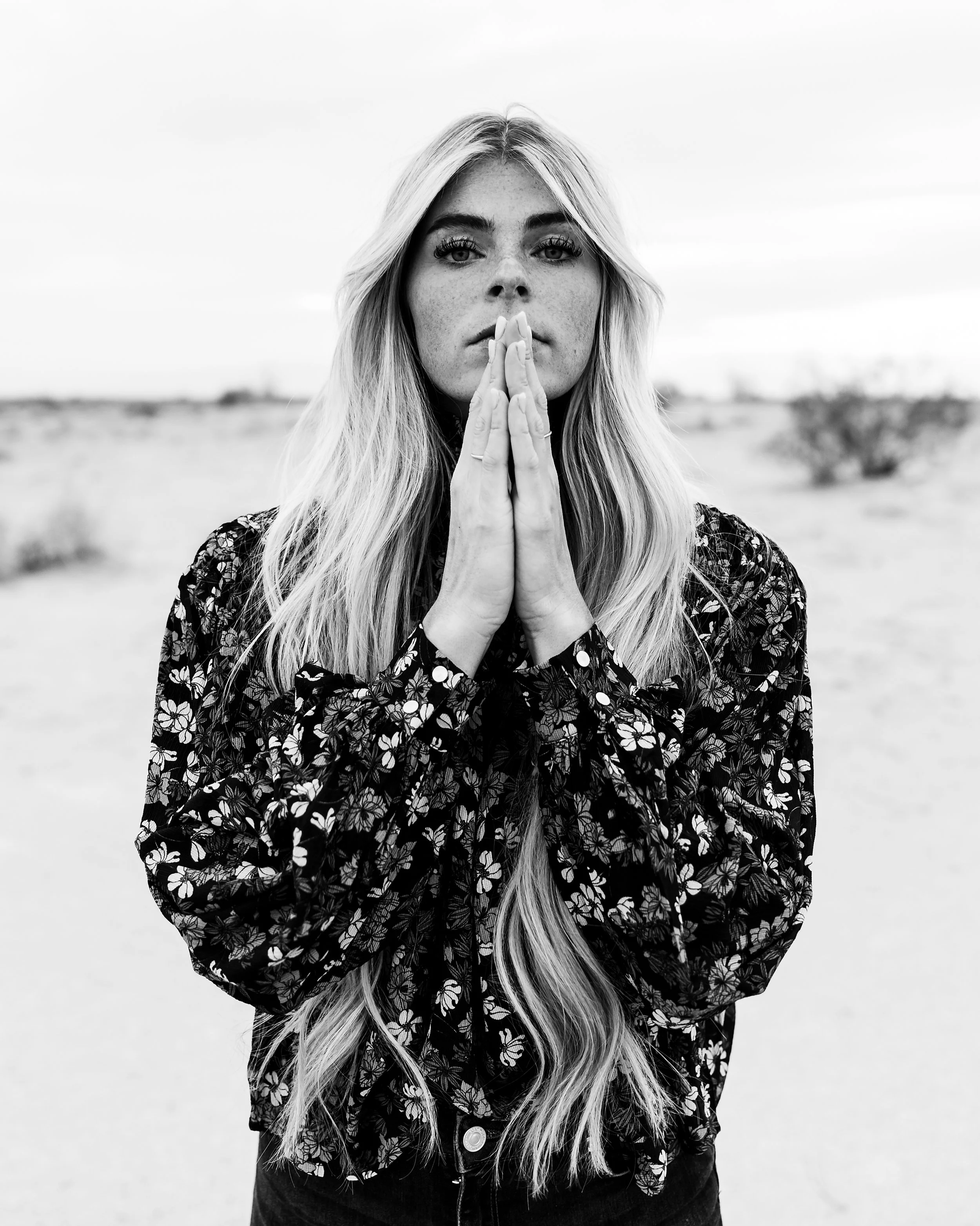 Paige Nicolle & Co.