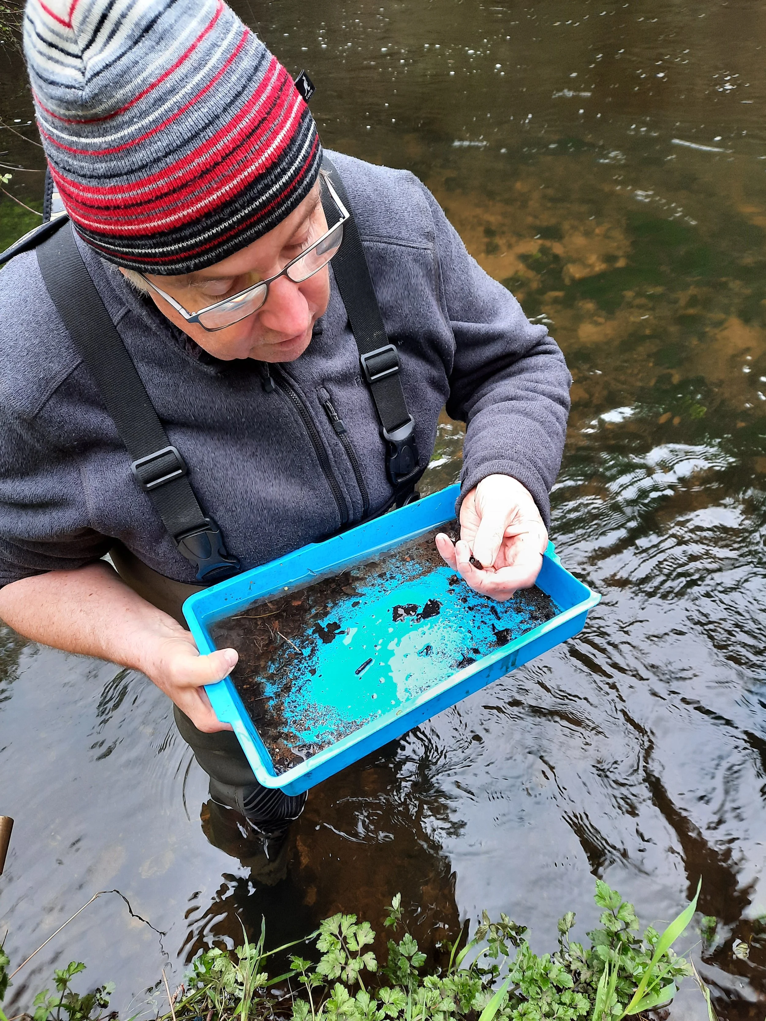 A Magic Moving Living Thing — Mary Conroy