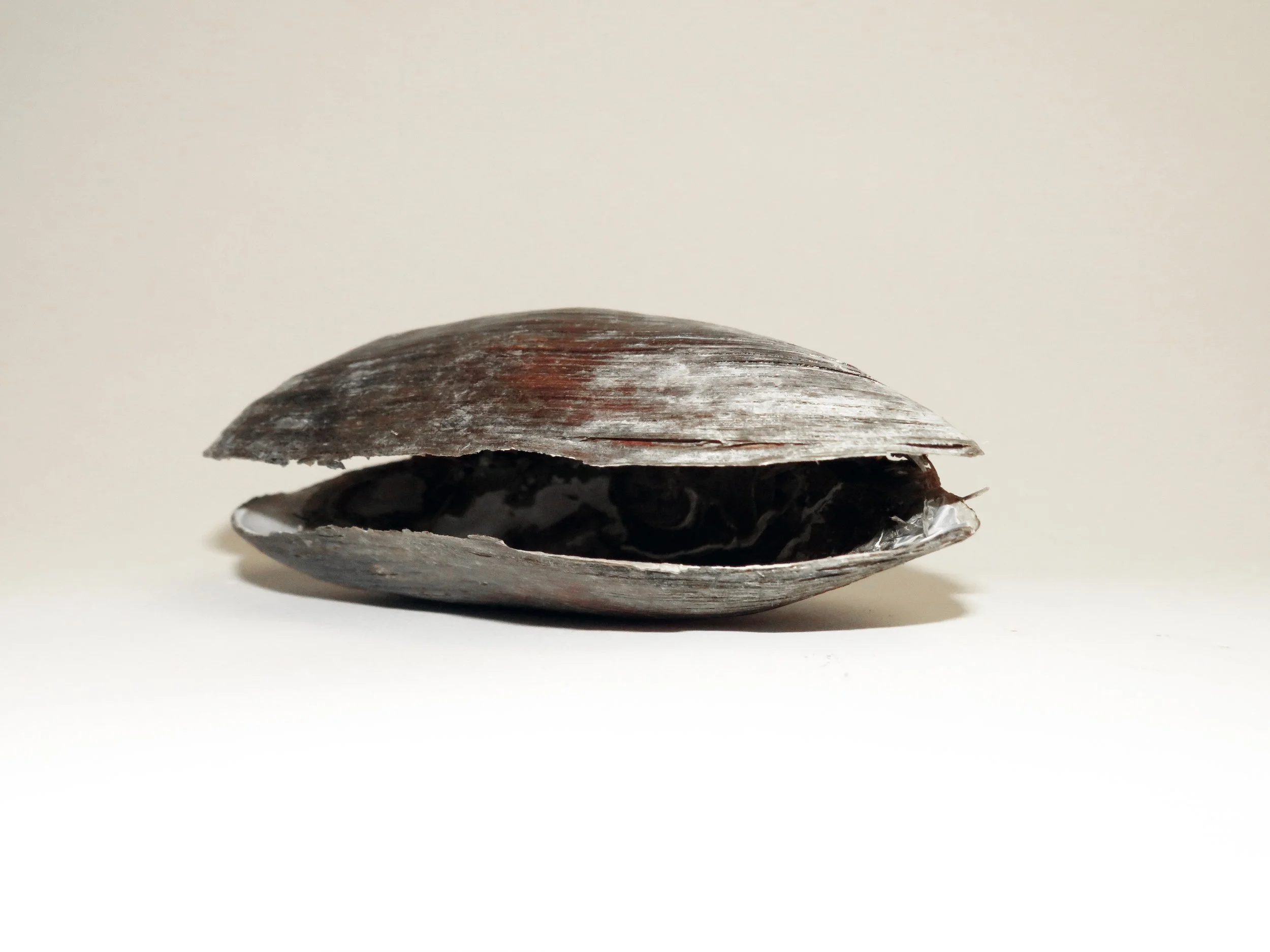 A Magic Moving Living Thing — Mary Conroy