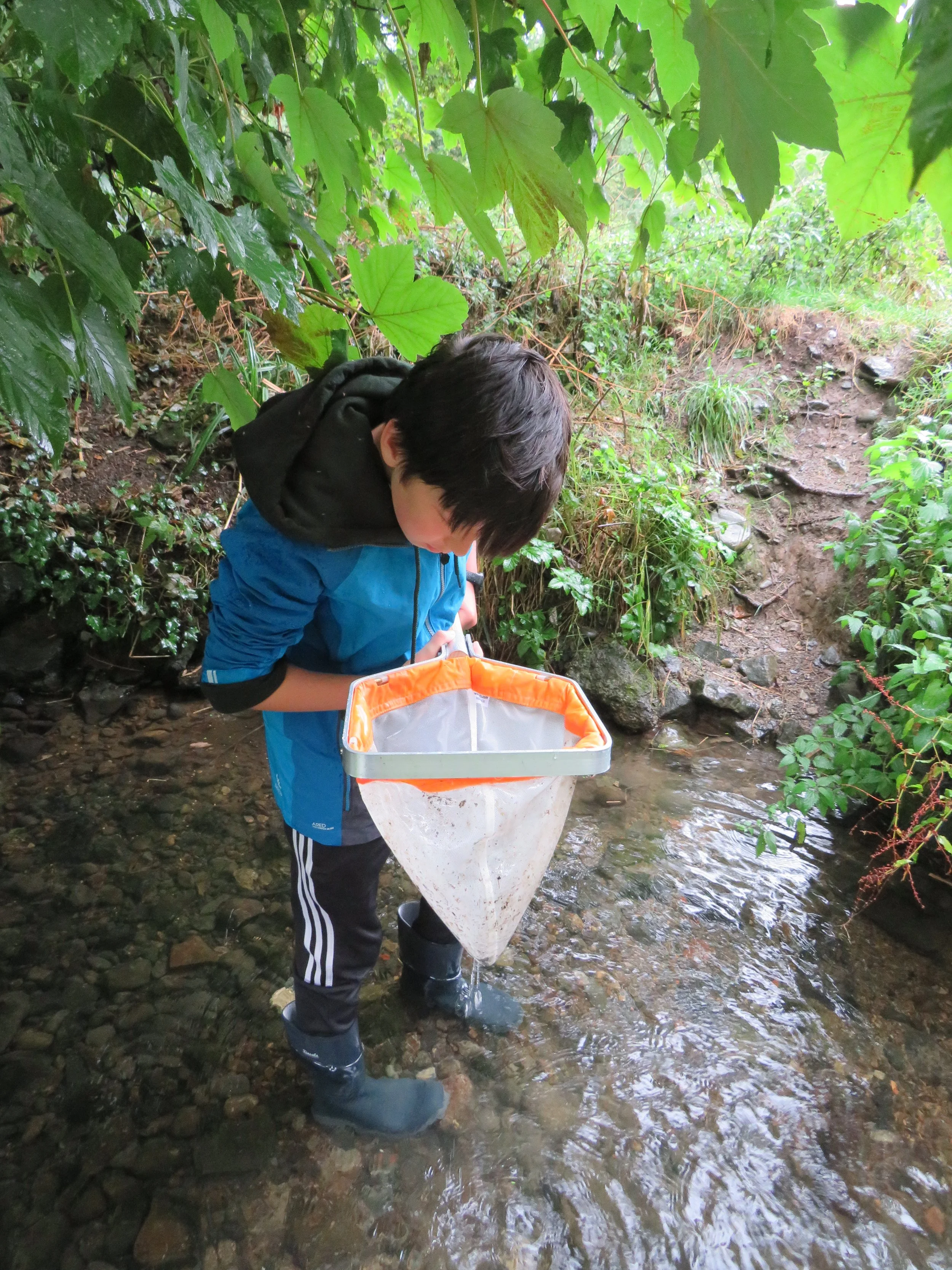 A Magic Moving Living Thing — Mary Conroy