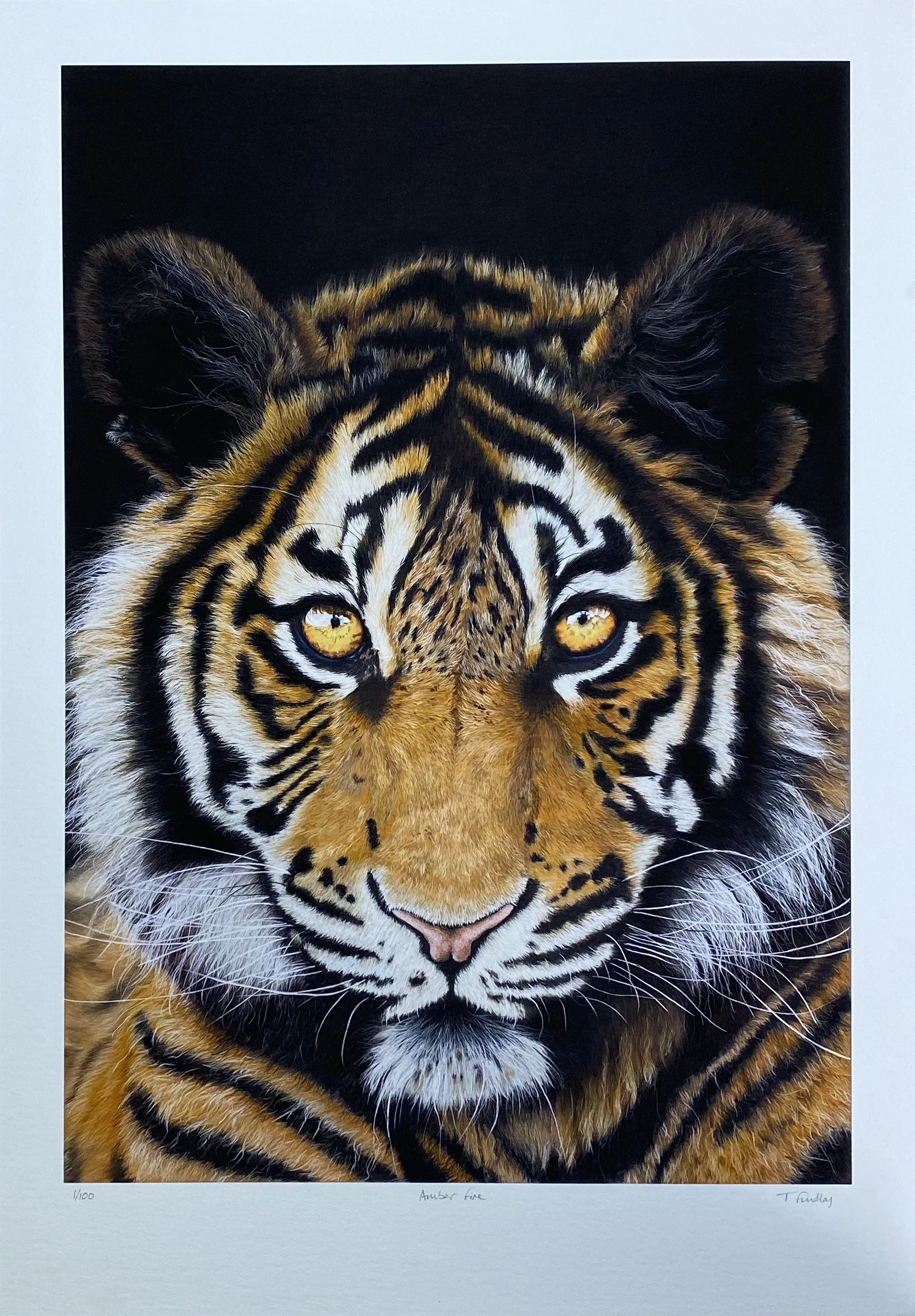 Shop — Tricia Findlay Fine Art