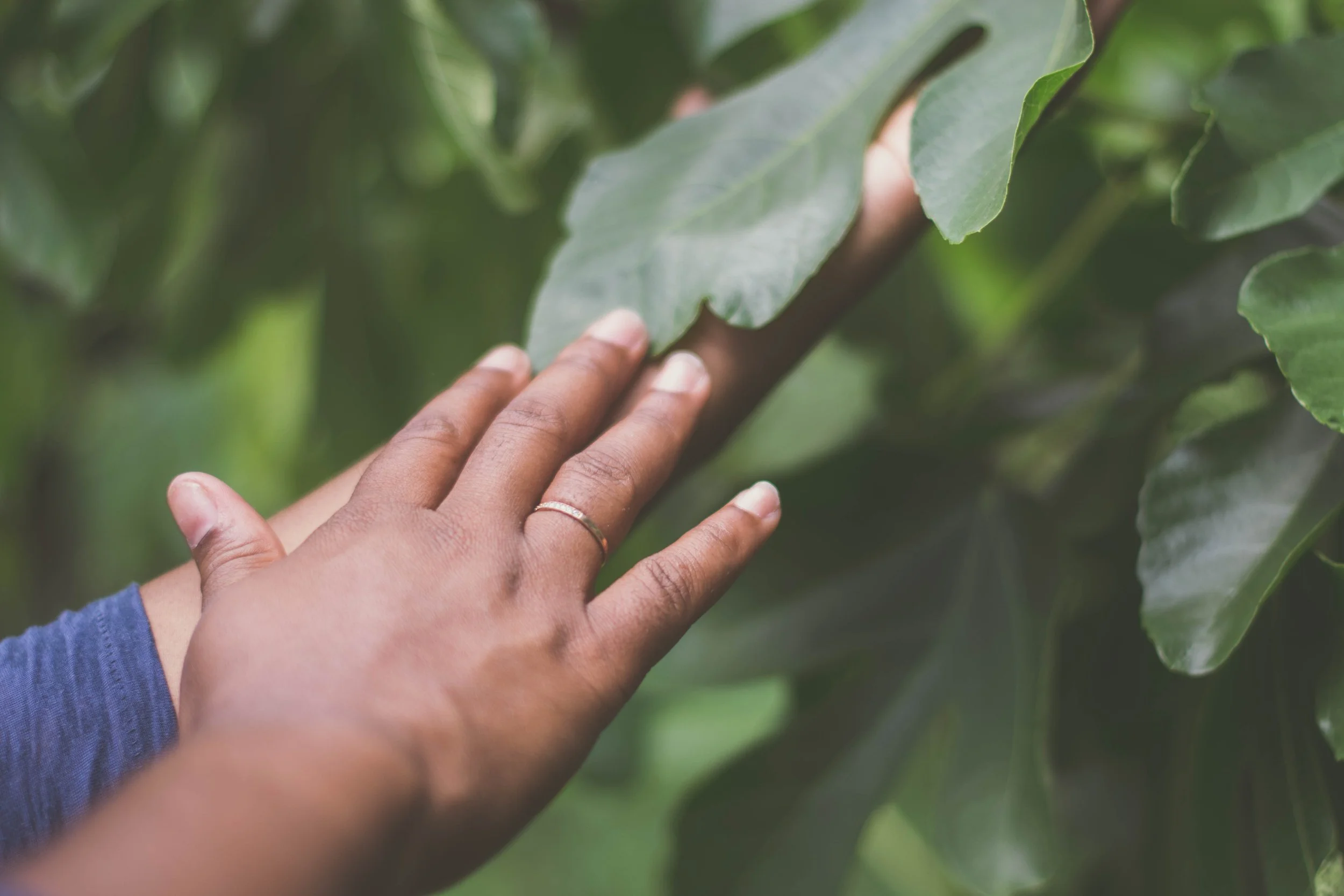 Healing Through the Land