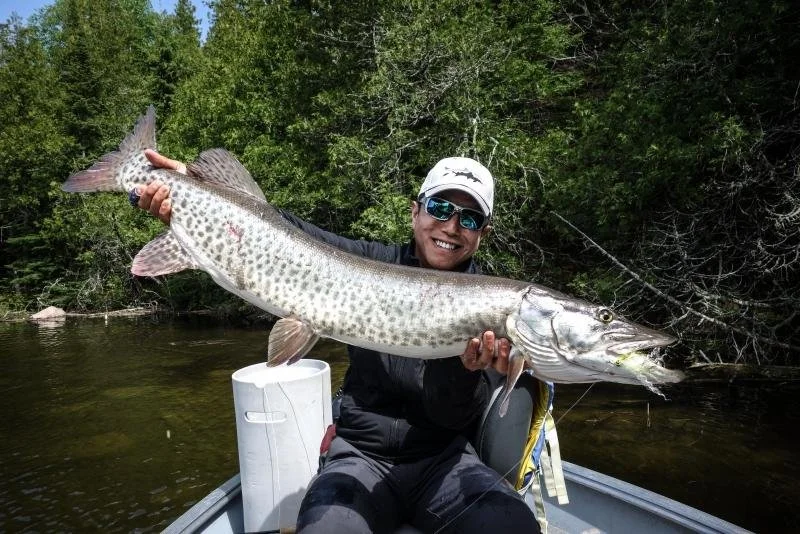 Musky Fishing in Ontario — Eagle Lake Island Lodge