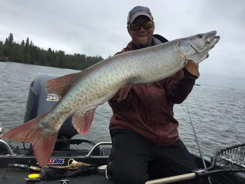 Musky Fishing in Ontario — Eagle Lake Island Lodge