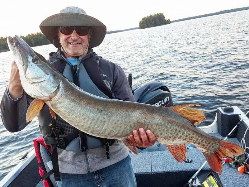 Musky Fishing in Ontario — Eagle Lake Island Lodge