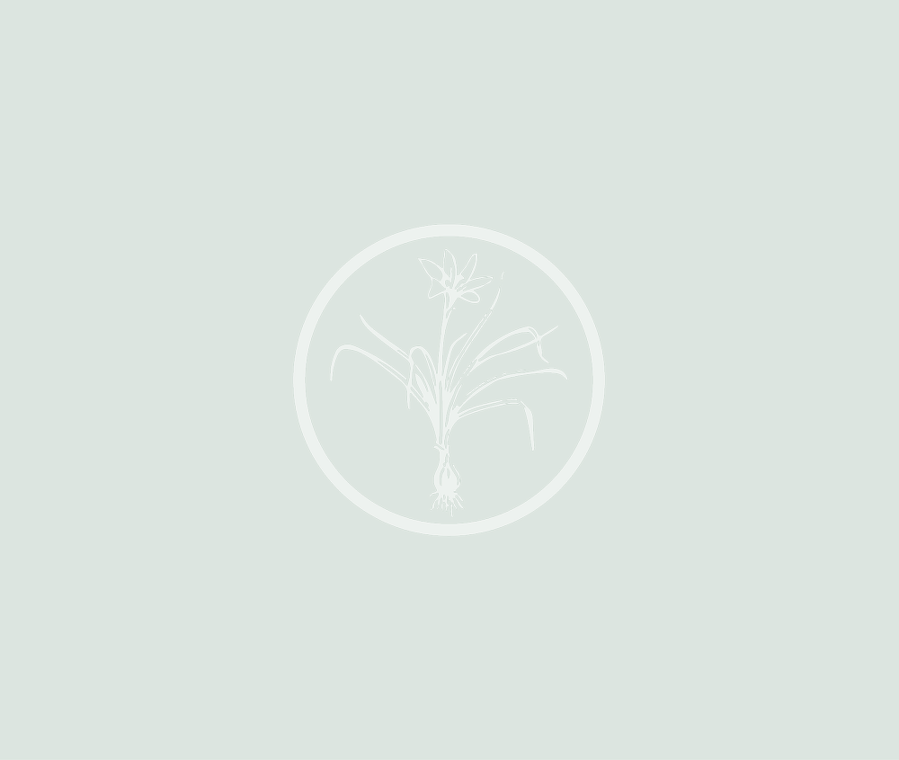 Charleston Horticultural Society