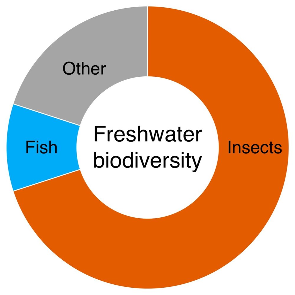 The Salmonfly Project