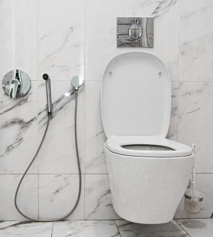 The Ultimate Guide to Bidets: Types, Benefits, and Usage — The Lindi Corp