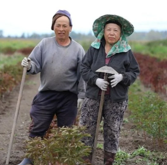 Our Farmers — Friendly Hmong Farms