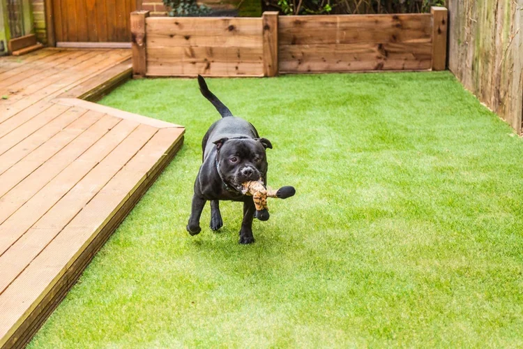 Artificial Pet Turf Installation Services Houston TX — Go-Turf
